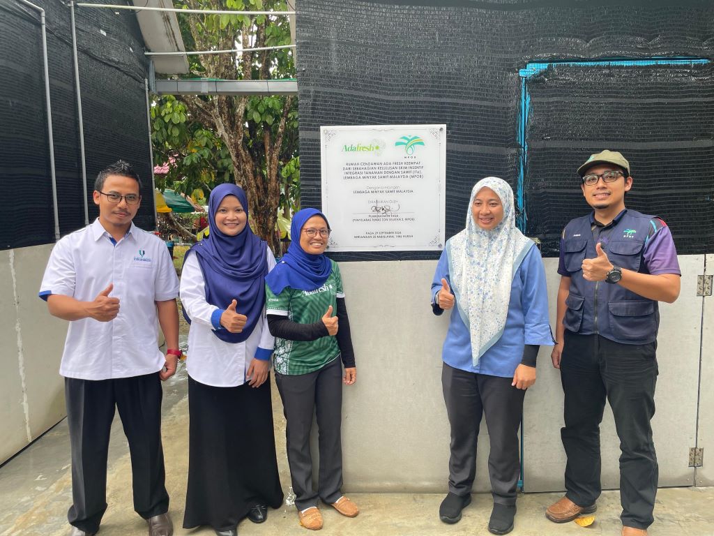 Umpsa Researchers Help Develop Iot System To Boost Oyster Mushroom Production Umpsa News